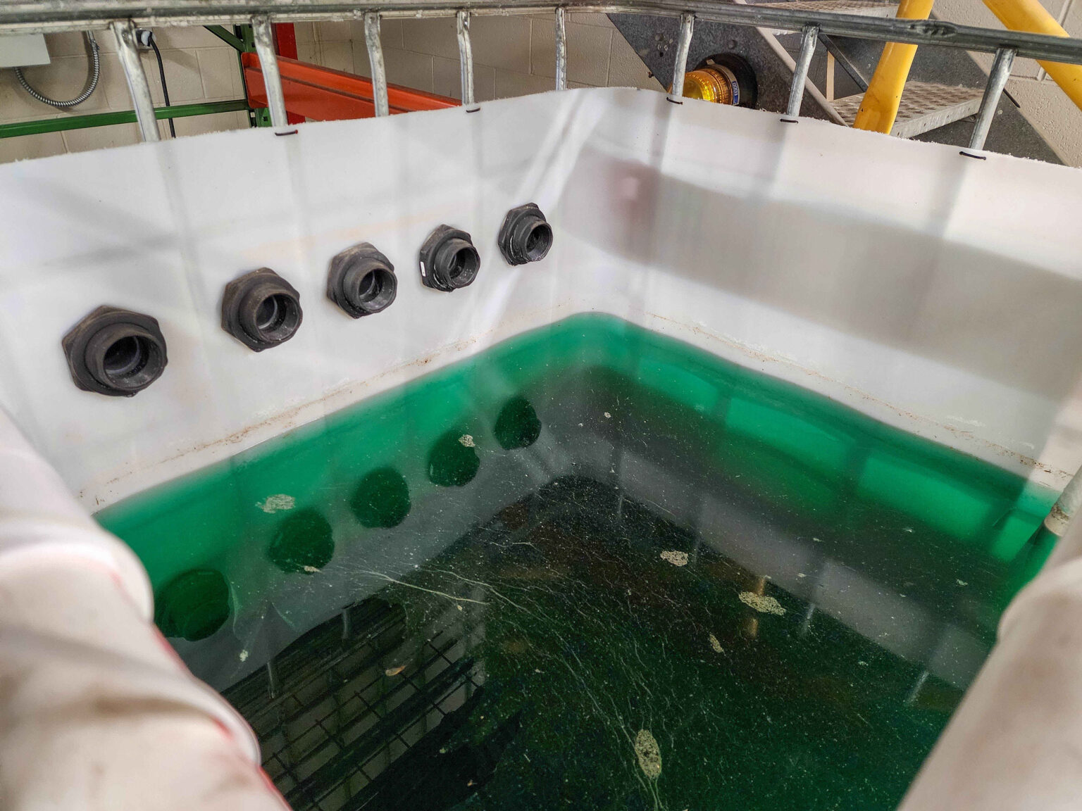 Looking Local: Salt Life! Groundskeeper Rebuilds Sweet New Salt System ...