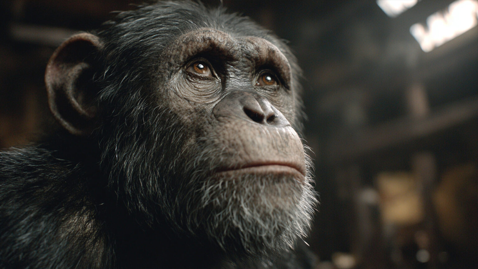 Looking Local: An Artificial Intelligence Filmmaking Course Emerges at ...